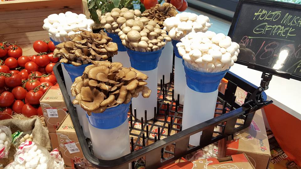 Inside Aeon's first premium supermarket Aeon MaxValu Prime - Mini Me ...