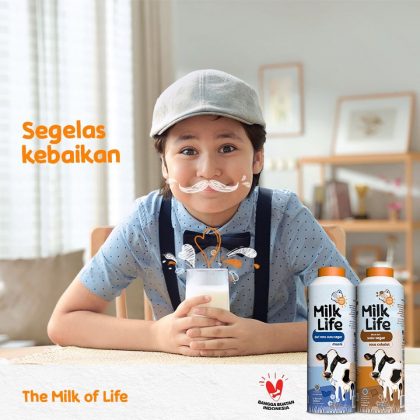 MilkLife a new player in pasteurised milk in Indonesia - Mini Me Insights