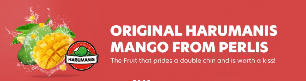 airasia farm is an official distributor of Harumanis mangoes - Mini Me ...