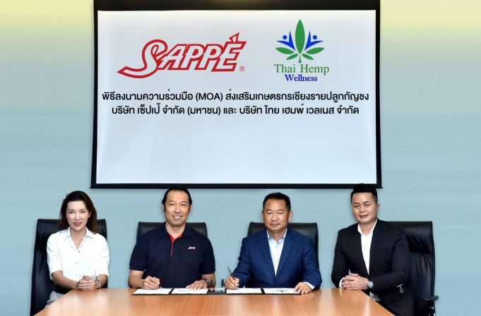 Sappe cooperates with Thai Hemp Wellness Company Limited - Mini Me Insights