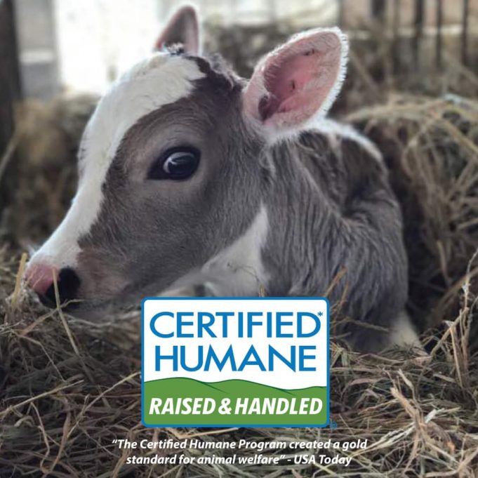 Farm Fresh celebrates Merdeka with contest, receives Humane ...