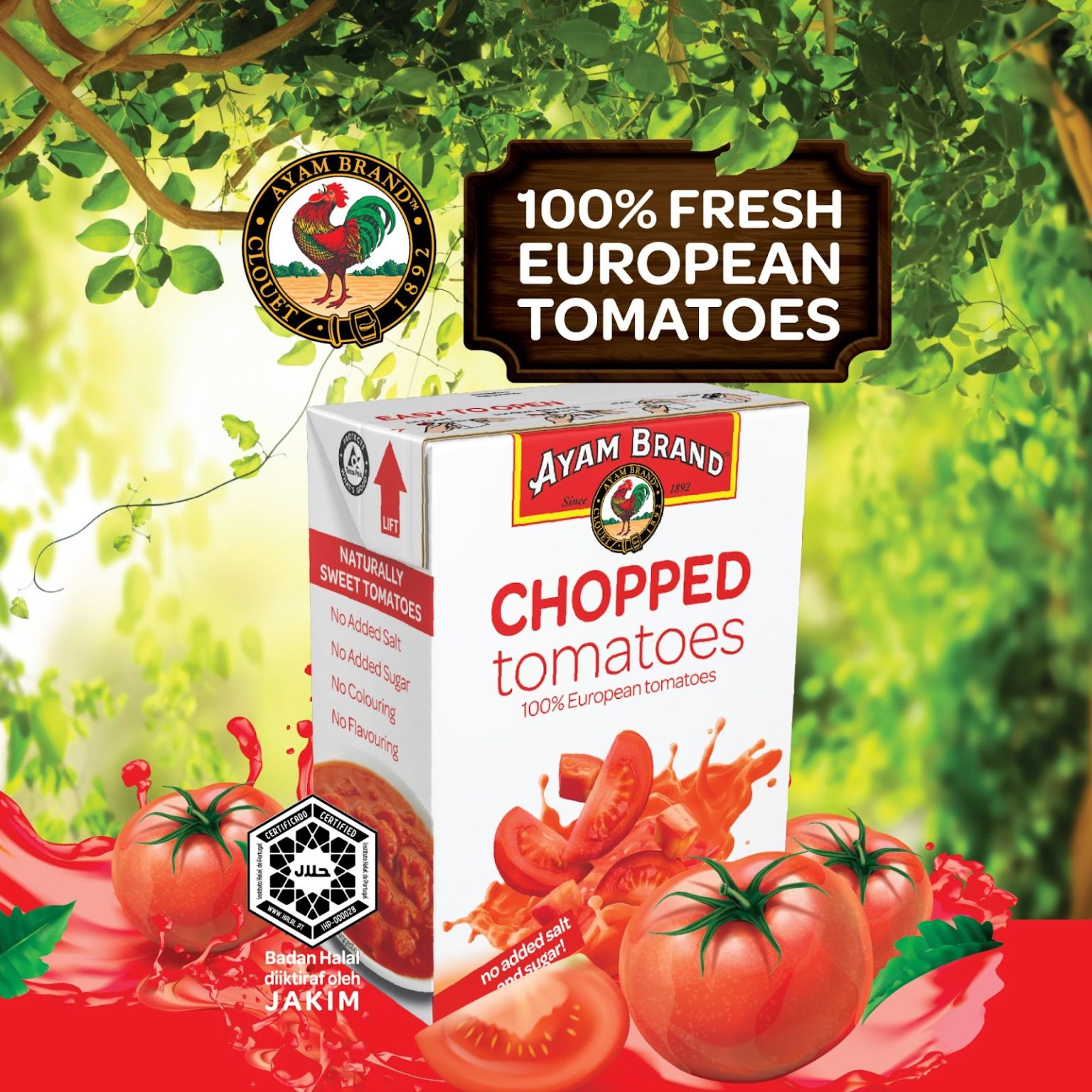 New Ayam Brand Chopped Tomatoes made from 100% European tomatoes - Mini ...