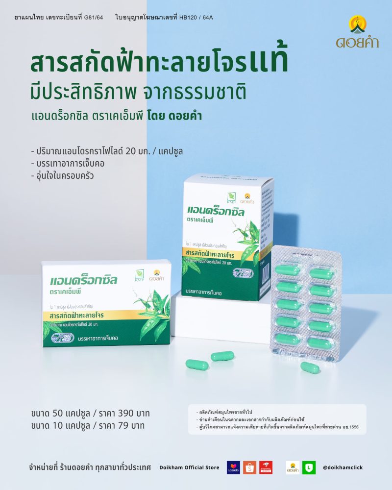 Doi Kham offers king of bitters or fah talai jone - Mini Me Insights