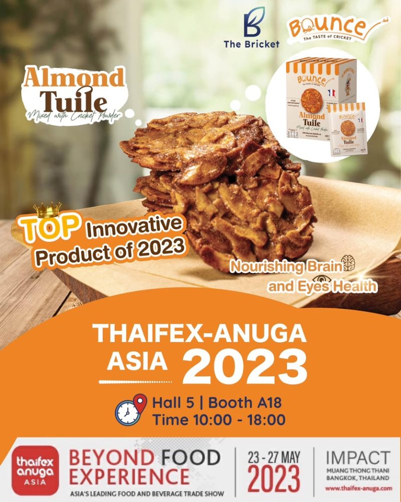 The Bricket offers Bounce Almond Tuile Mixed with Cricket Powder - Mini ...