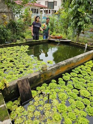 Flowing Hope: Empowering Rural Sabah Families Towards Clean and ...