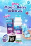 Dutch Mill Unveils Winter Wonderland: Limited Edition Magic Berry ...