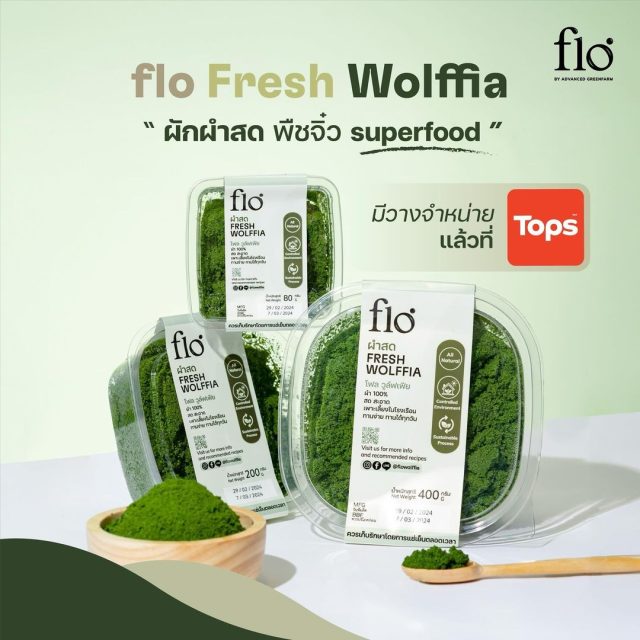 flo Wolffia is now more accessible and easier to consume in the ...