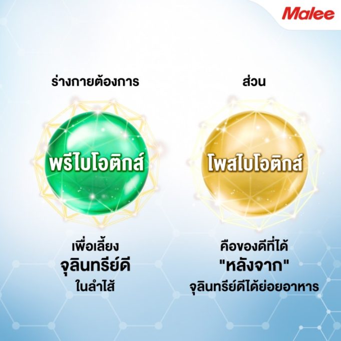 Malee Power Plants with prebiotics and postbiotics for a healthy gut ...