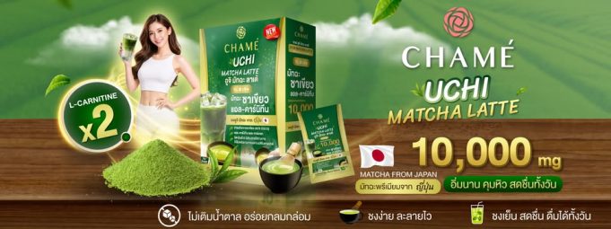 Chame Uchi Matcha Latte – matcha meets modern weight management - Mini ...